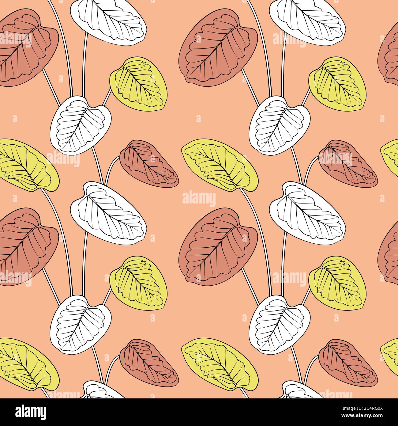 Tropical colorful calathea leaves black outline drawing seamless ...