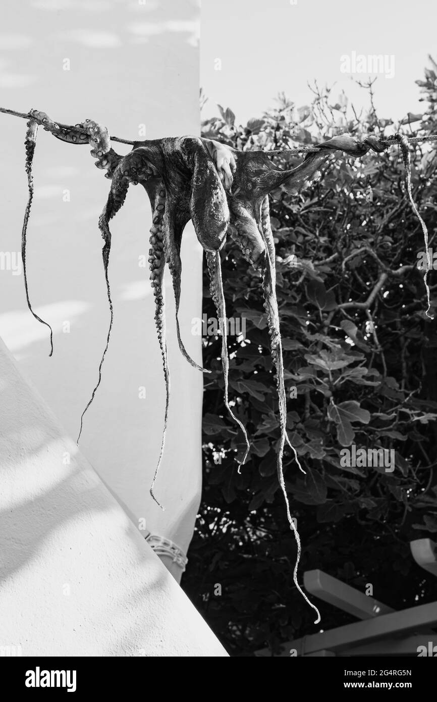 Grilled black fish Black and White Stock Photos & Images - Alamy