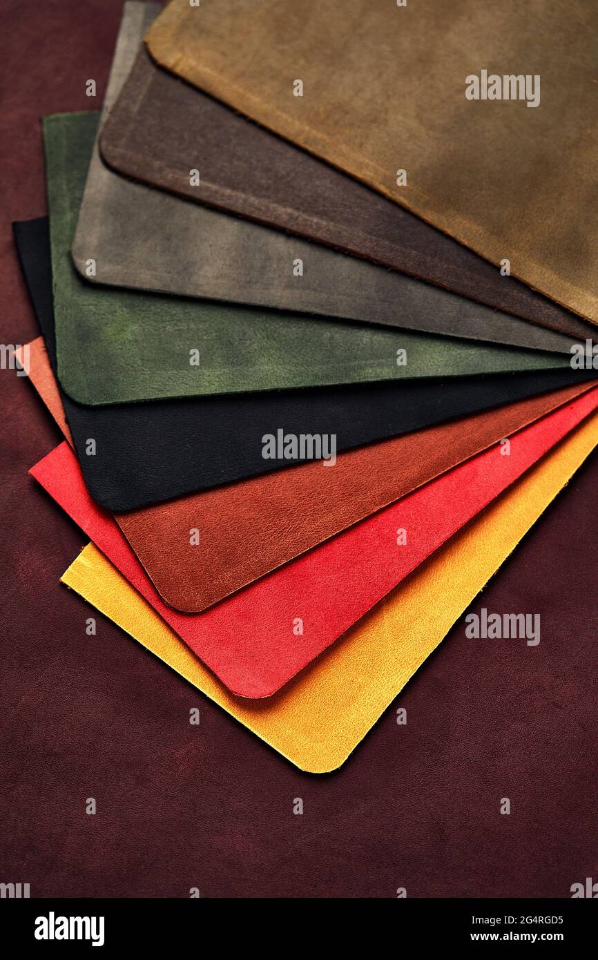 Multi-colored palette of skin samples, palette of different skin tones ...