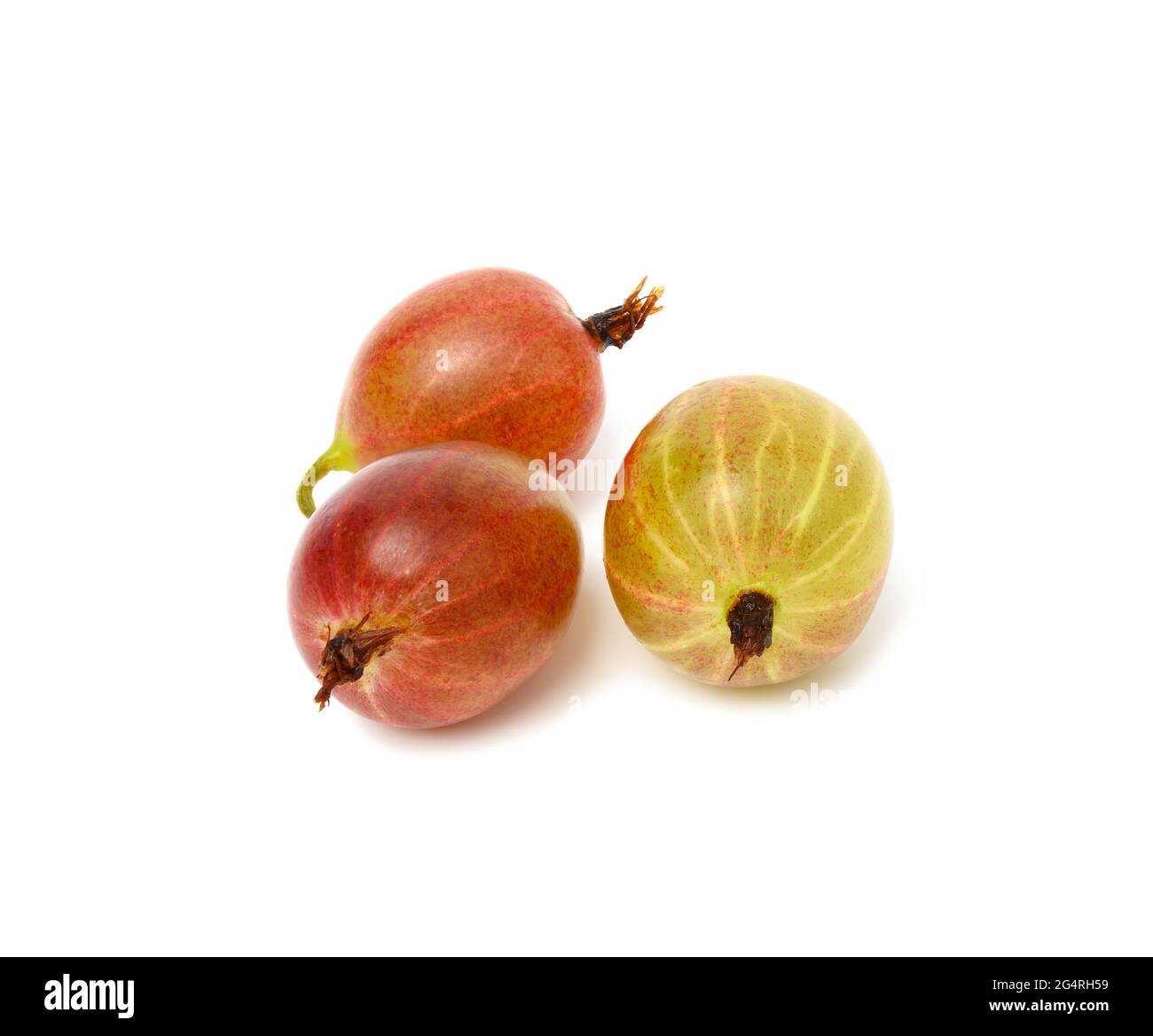 three ripe red and green gooseberries isolated on white background ...