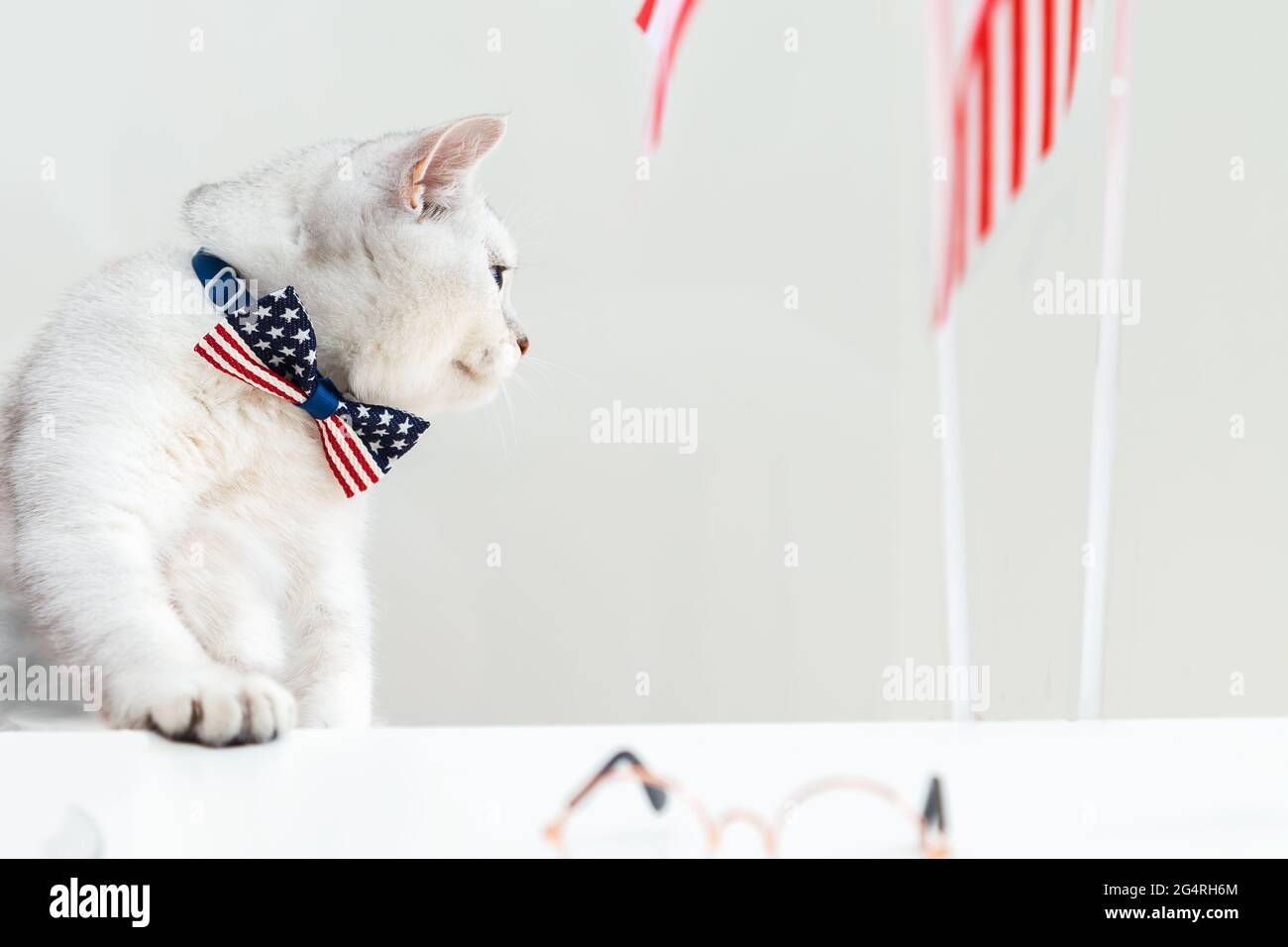 American flags in tribune hi-res stock photography and images - Alamy