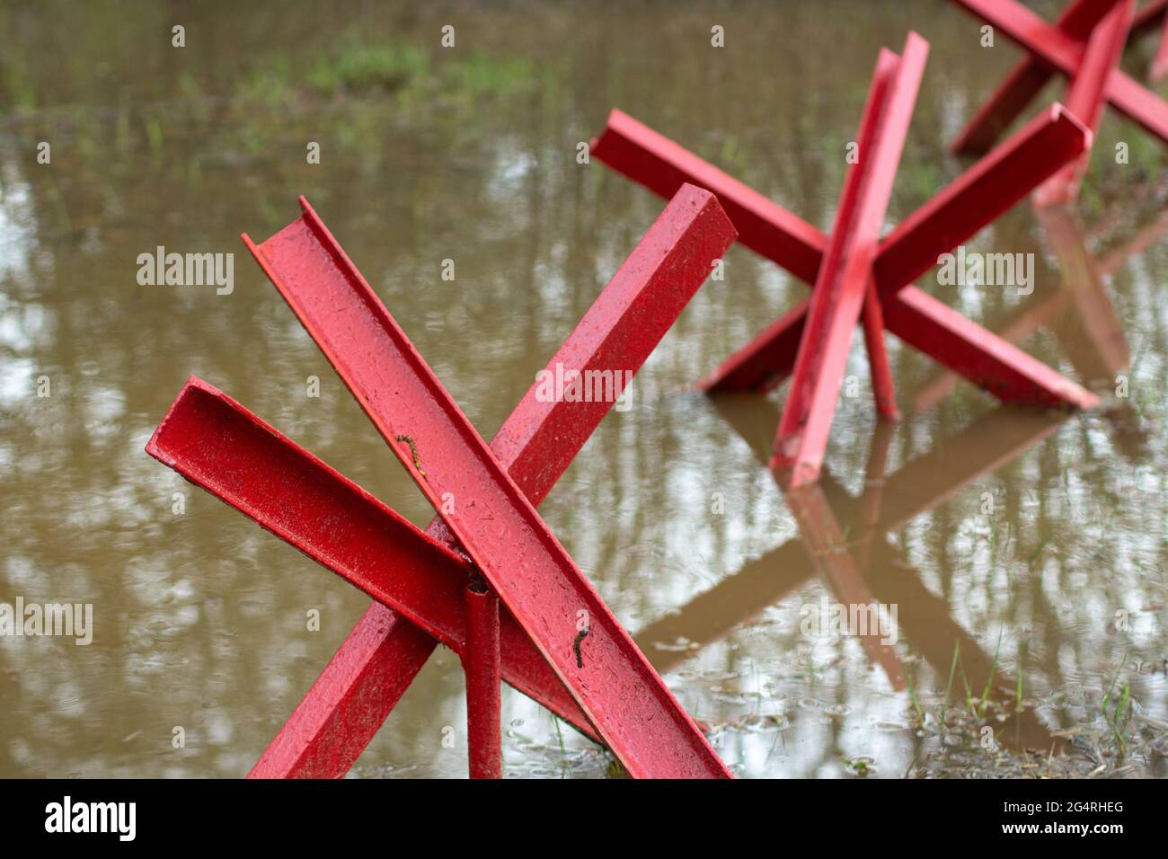 Anti war protest gun flower hi-res stock photography and images - Alamy