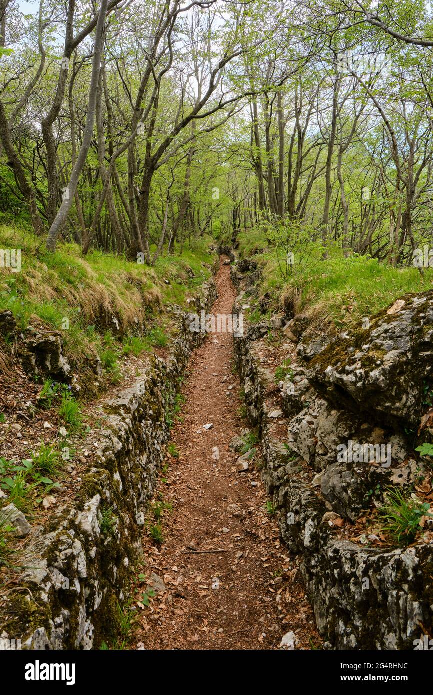 Ww1 trenches trench warfare first world war hi-res stock photography ...