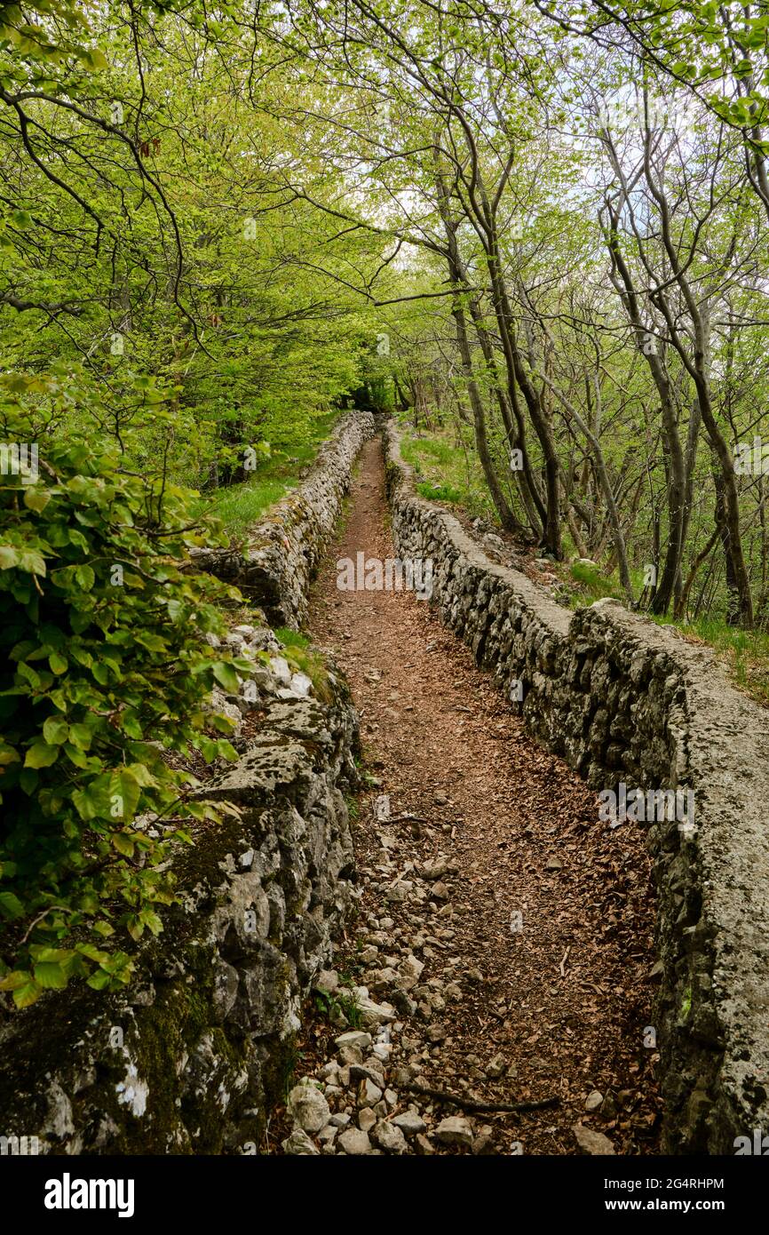 Trenches first world war italy hi-res stock photography and images - Alamy