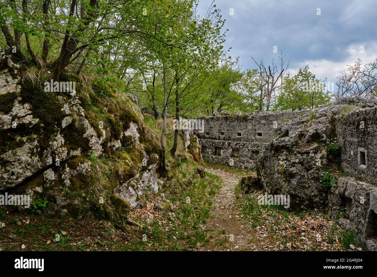 Trenches of the First World War on the Italian-Swiss border Stock Photo ...