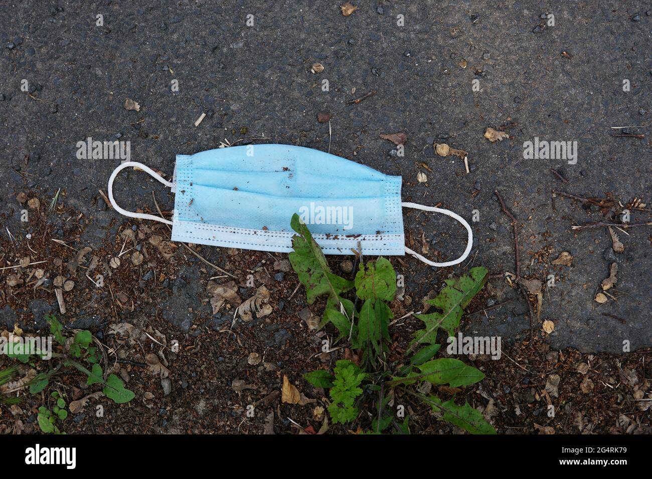 Top view of a face mask thrown on the asphalt Stock Photo - Alamy