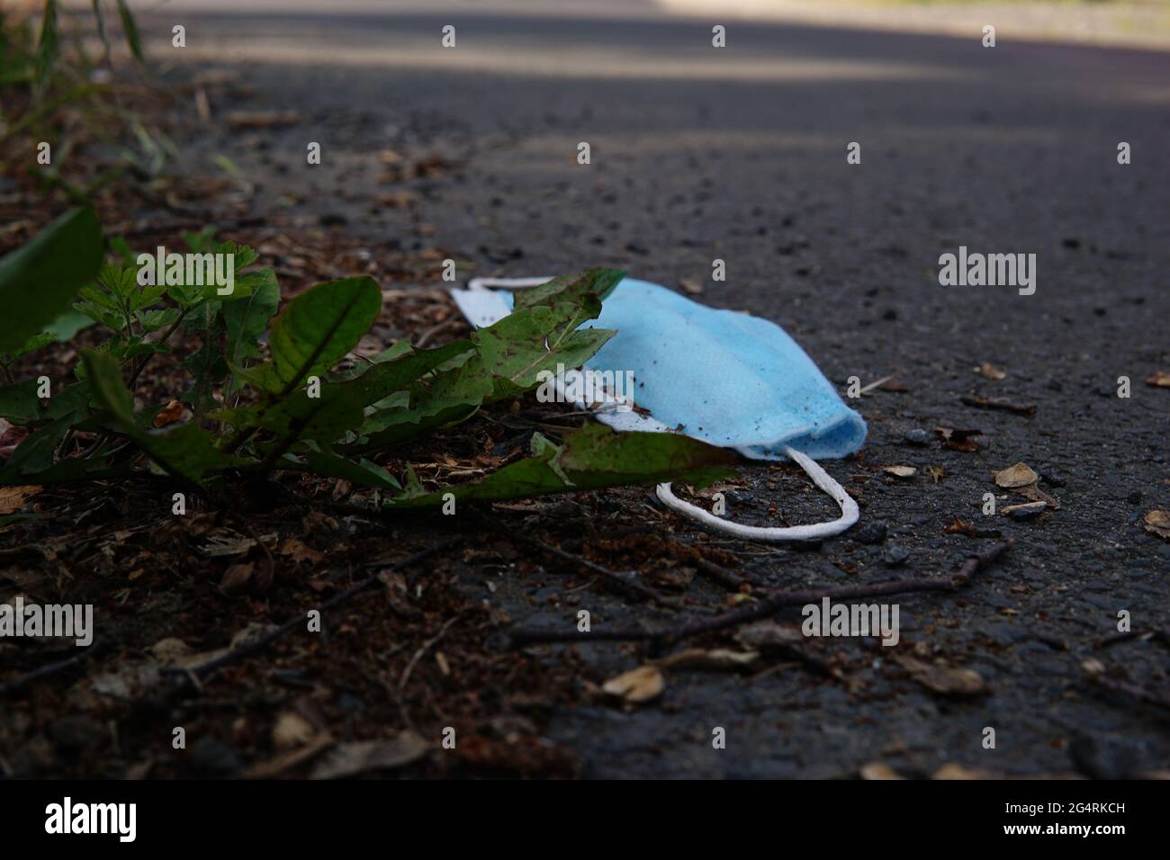 Selective focus of a face mask thrown on the asphalt Stock Photo - Alamy