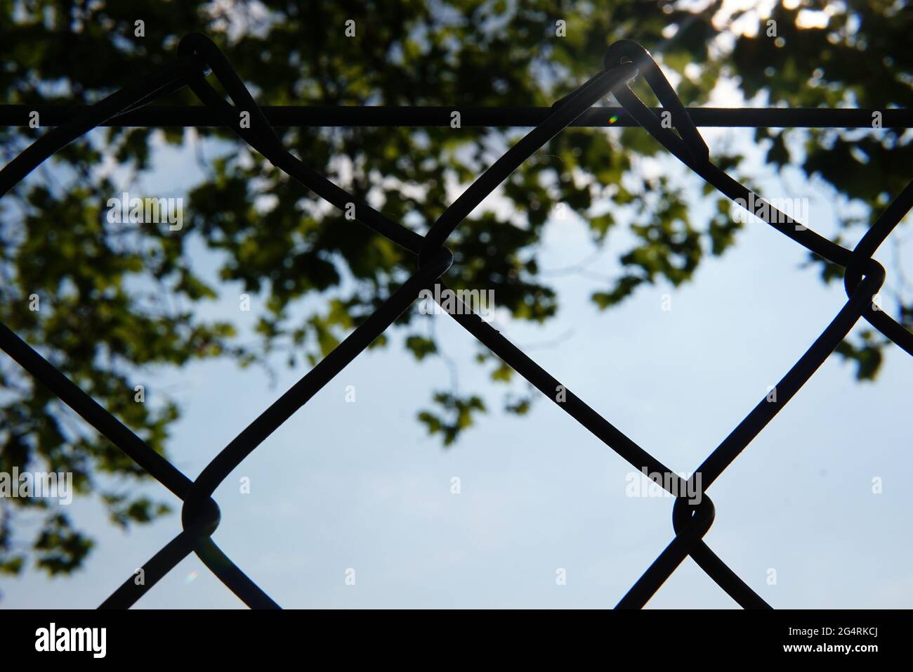 Closeup of metal grid fence texture on background of a tree Stock Photo ...