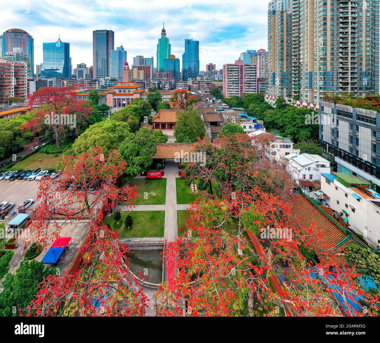 Kapok flower hi-res stock photography and images - Alamy