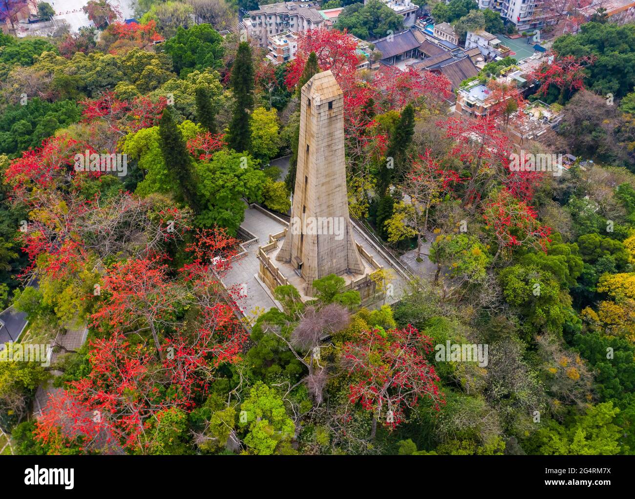Kapok flower hi-res stock photography and images - Alamy