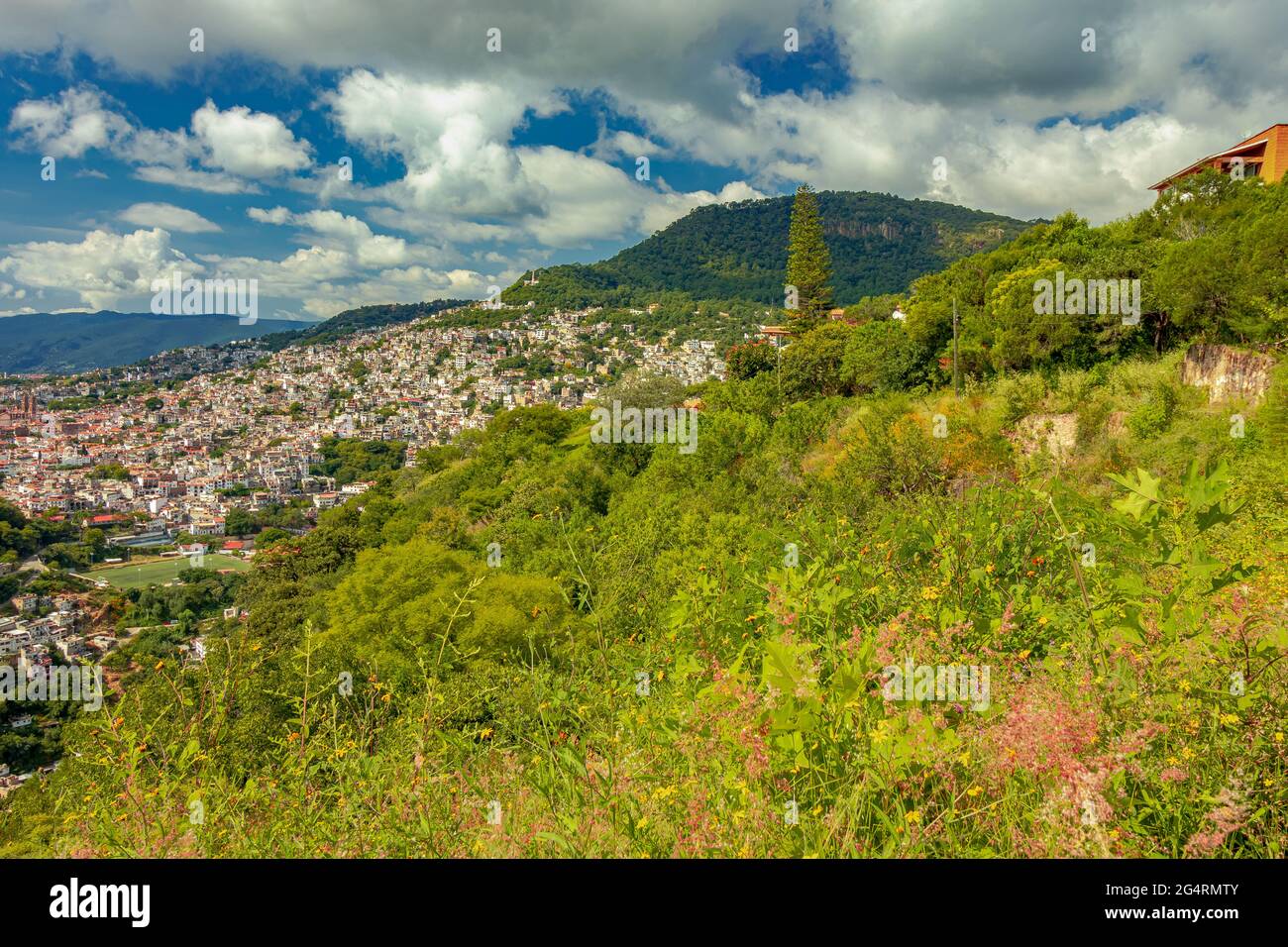 Closeup of a town on the hill with greenery in the foreground Stock ...