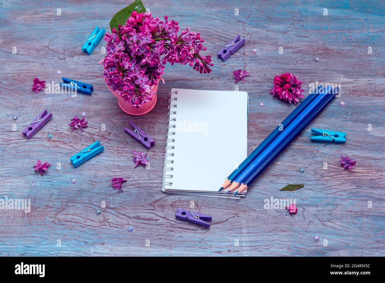 Purple pencil hi-res stock photography and images - Alamy