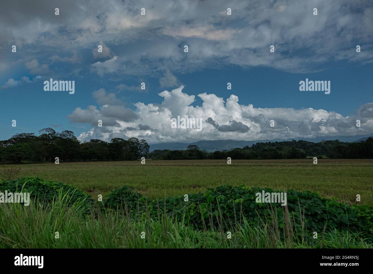 Costa Rica landscape Stock Photo - Alamy