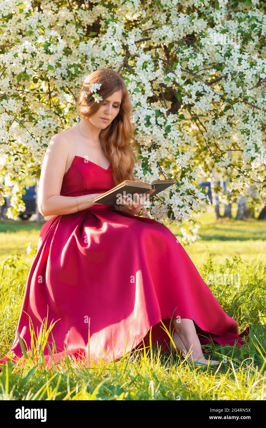 beautiful woman in luxurious red dress reading a book outdoors Stock ...
