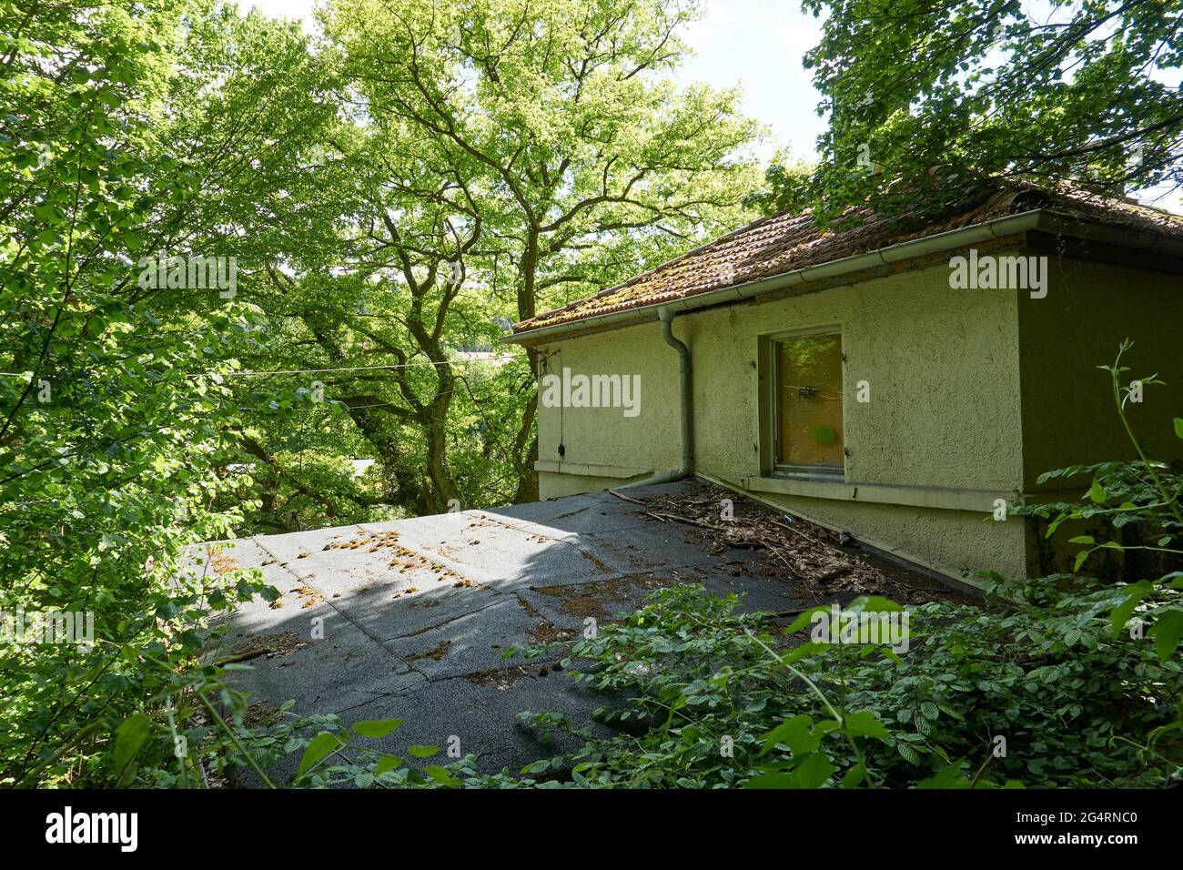 Old abandoned and neglected house in the forest Stock Photo - Alamy