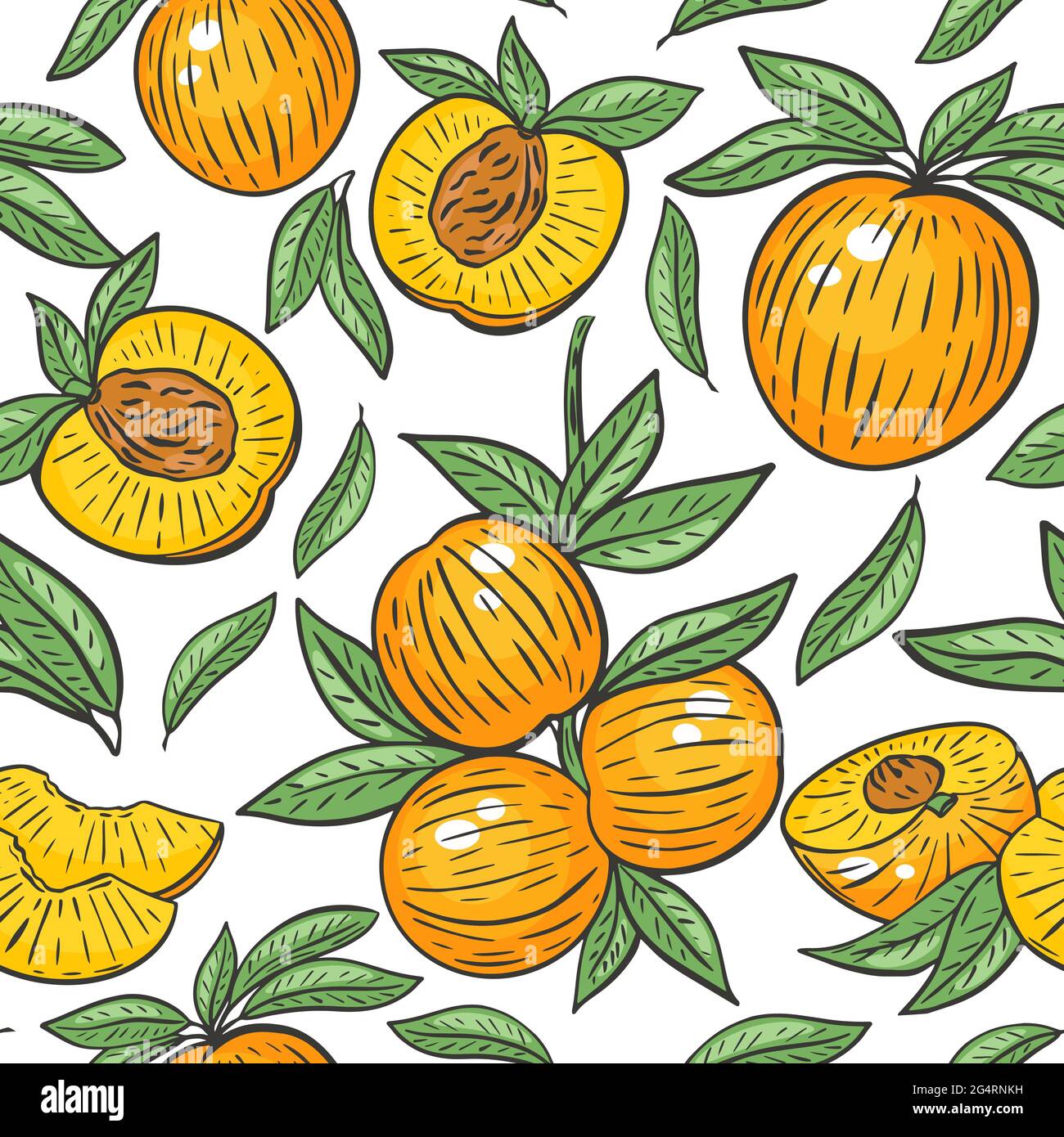 Orga vector vectors hi-res stock photography and images - Alamy