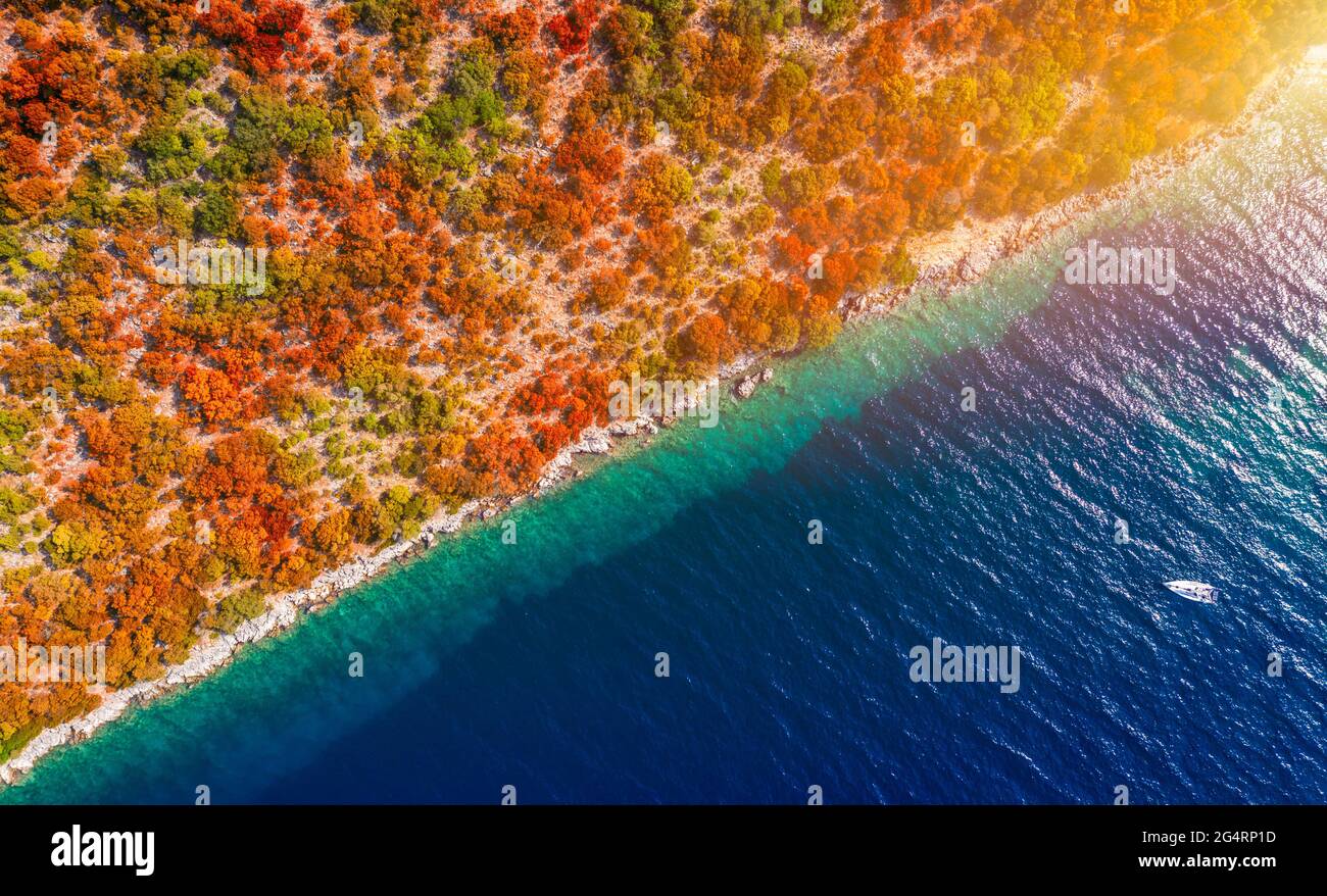 Coastal area with blue clear water and forest on land, aerial view ...