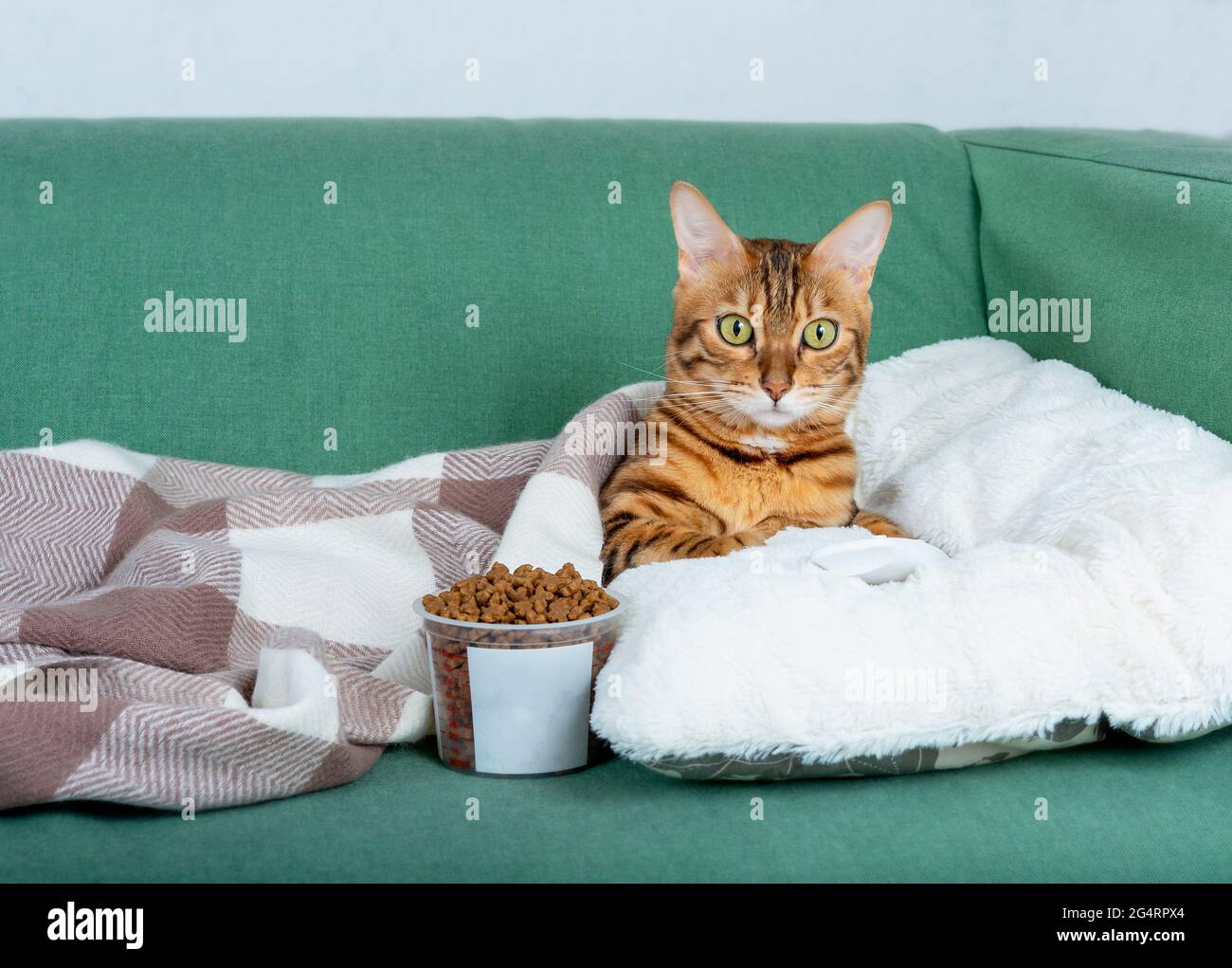 Control snack sofa watching hi-res stock photography and images - Alamy