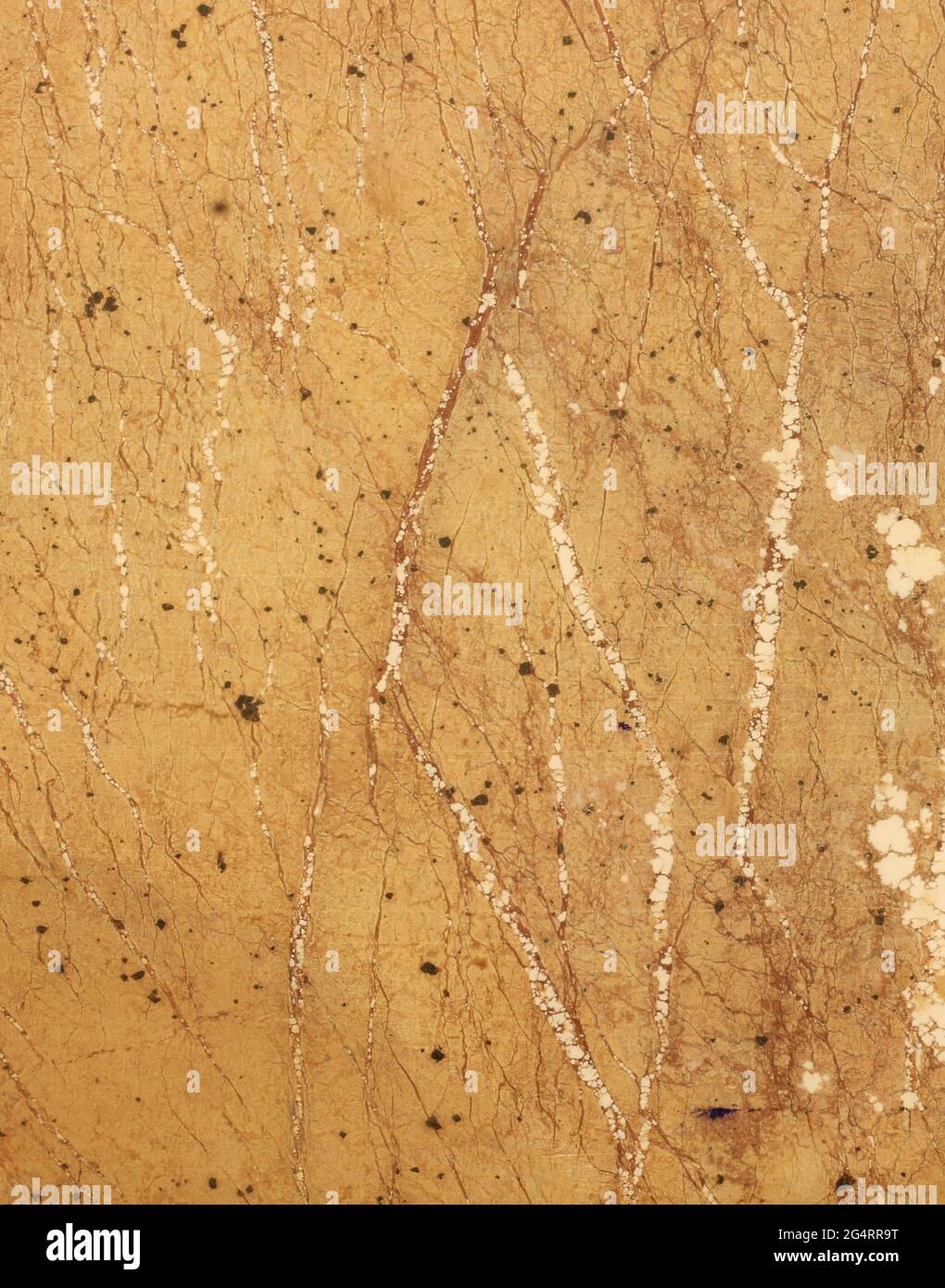 Vertical shot of bidasar gold marble texture Stock Photo - Alamy