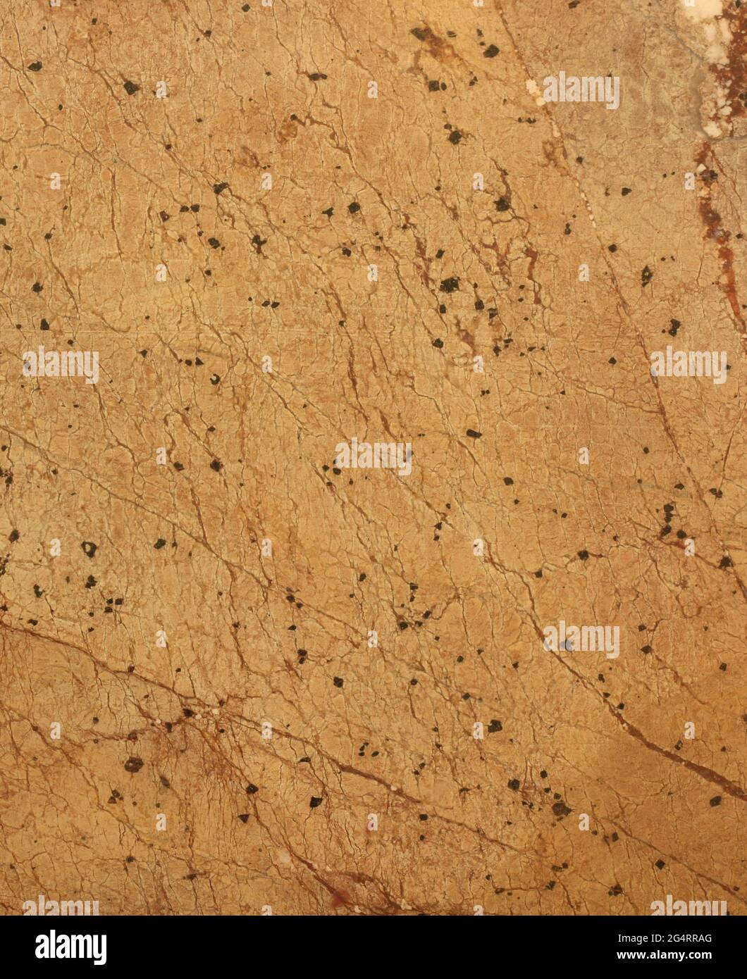 Vertical shot of bidasar gold marble texture Stock Photo - Alamy