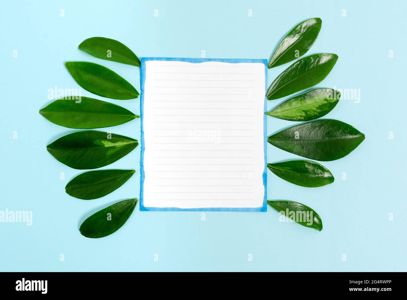 Nature Theme Presentation Ideas Designs, Displaying Renewable Materials ...