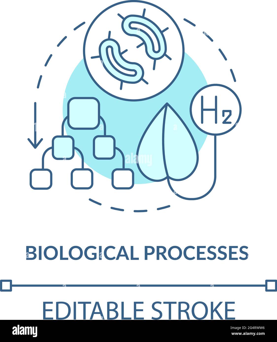 Biological processes for hydrogen concept icon Stock Vector Image & Art ...