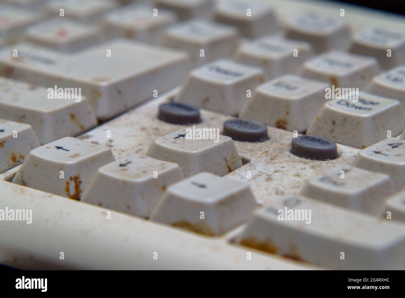 A fragment of a dirty and dusty computer keyboard close-up Stock Photo ...