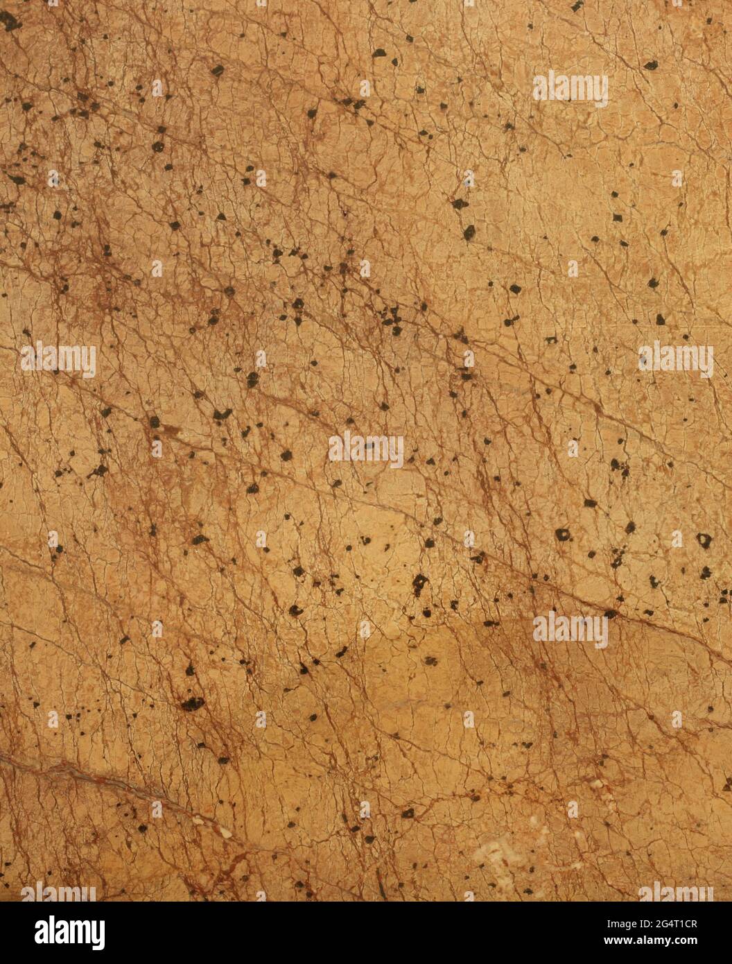 Vertical shot of bidasar gold marble texture Stock Photo - Alamy