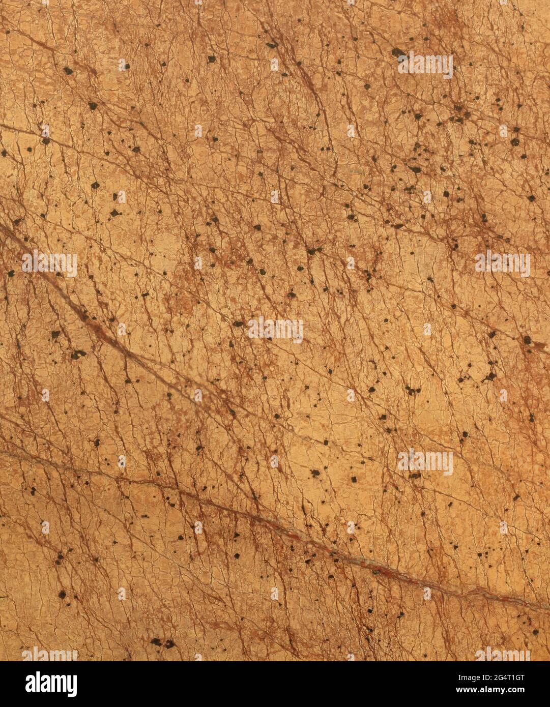 Vertical shot of bidasar gold marble texture Stock Photo - Alamy