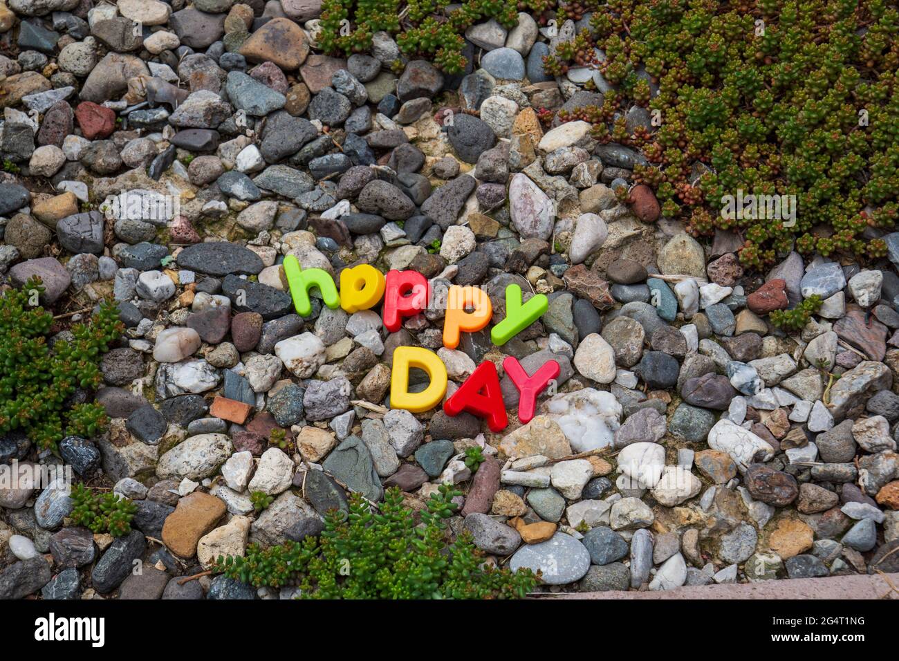 abc, abstract, alphabet, background, bright, capitals, child, childhood ...