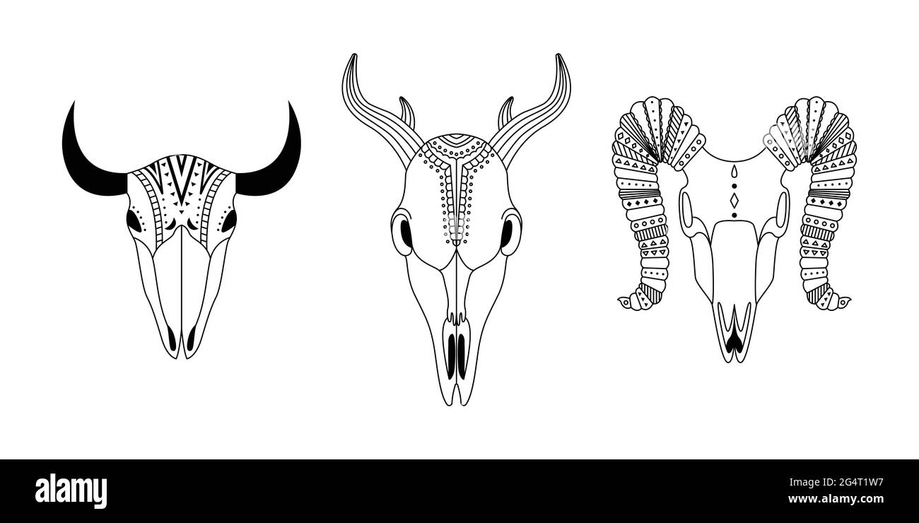 Set of three animal skulls with geometric ornaments. Tribal outline ...