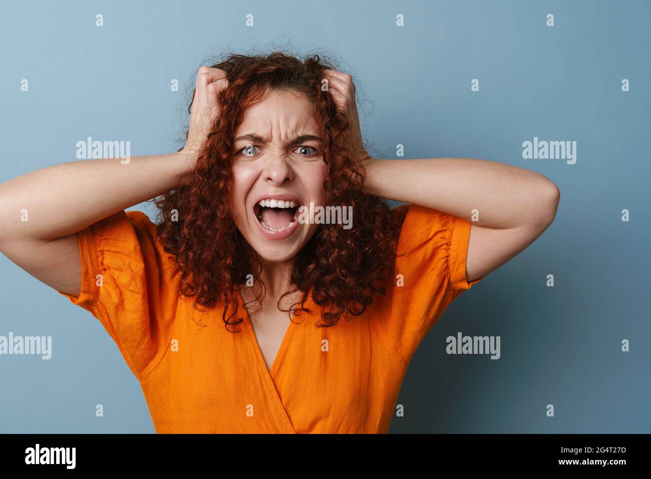 Furious ginger woman screaming and grabbing her head isolated over blue background Stock Photo ...