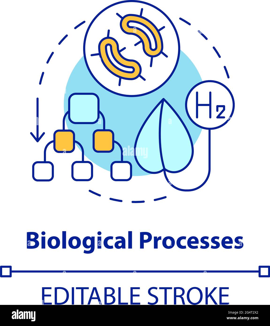 Biological processes for hydrogen concept icon Stock Vector Image & Art ...