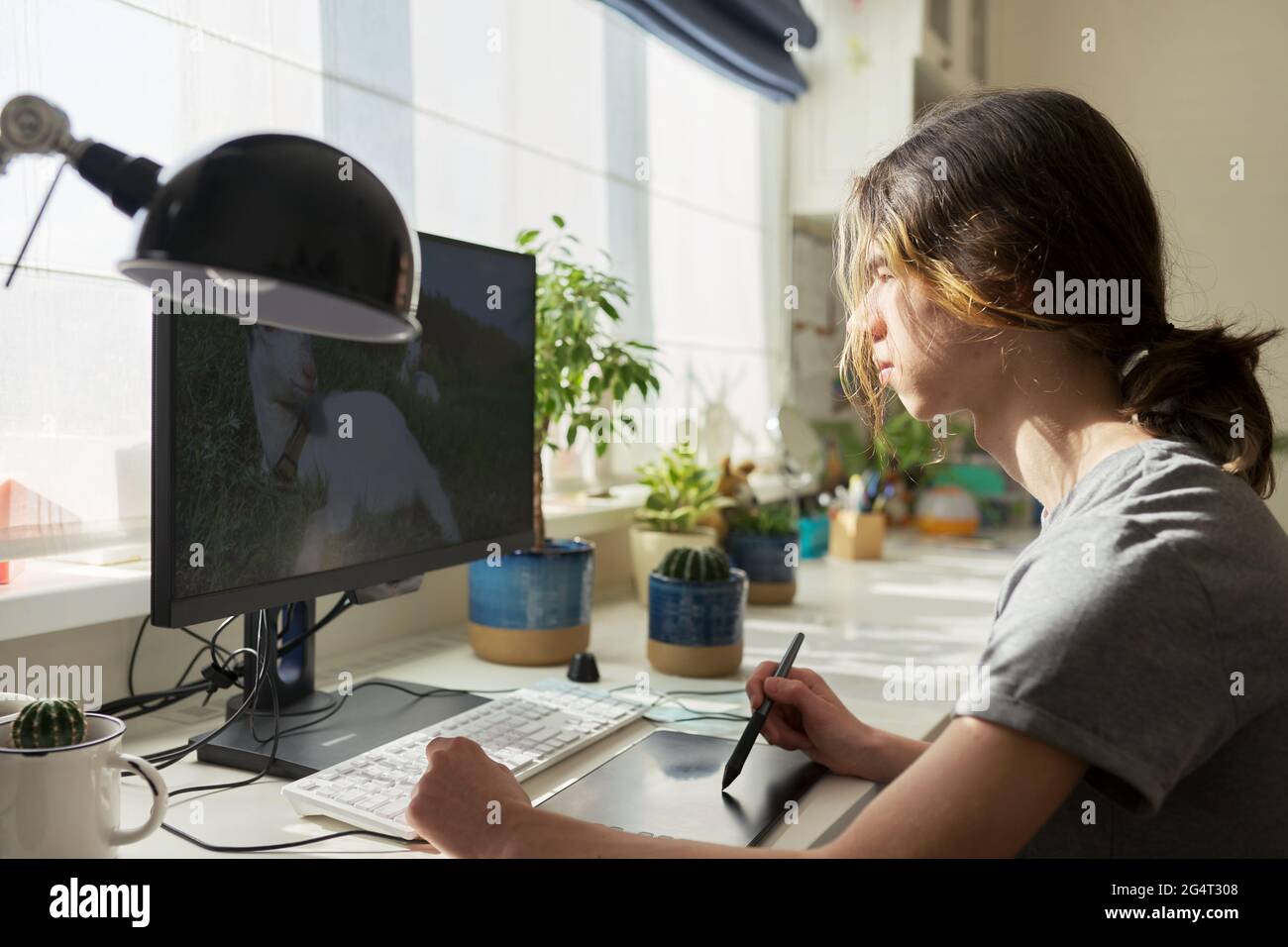 Teen guy at home working on computer, using graphics tablet to work ...