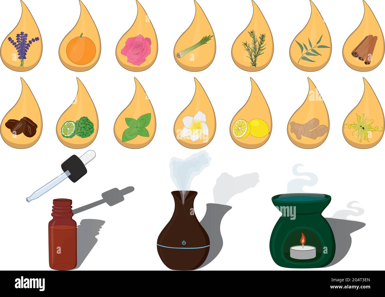 Lemongrass tea Stock Vector Images - Alamy