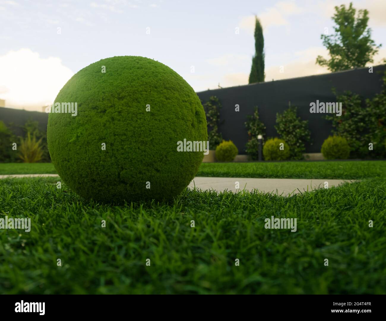 Picture of a green sponge ball at grass level Stock Photo - Alamy