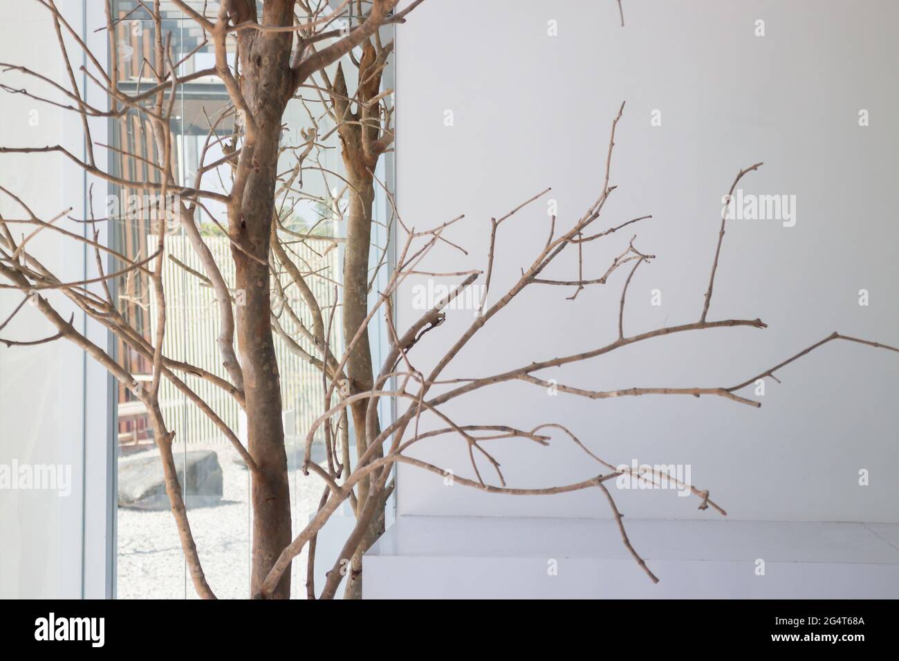 Branches of trees decorated in cafe, stock photo Stock Photo - Alamy
