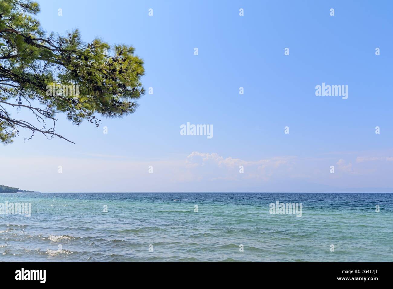 Blue seashore with big clody sky and green branch Stock Photo - Alamy