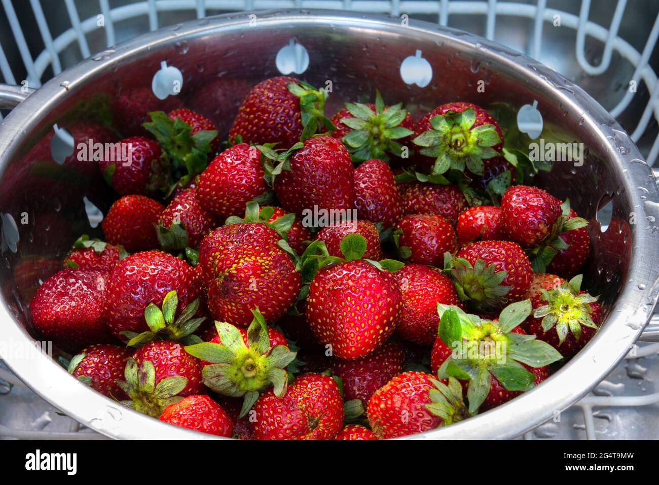 Strawberries from the garden hi-res stock photography and images - Alamy