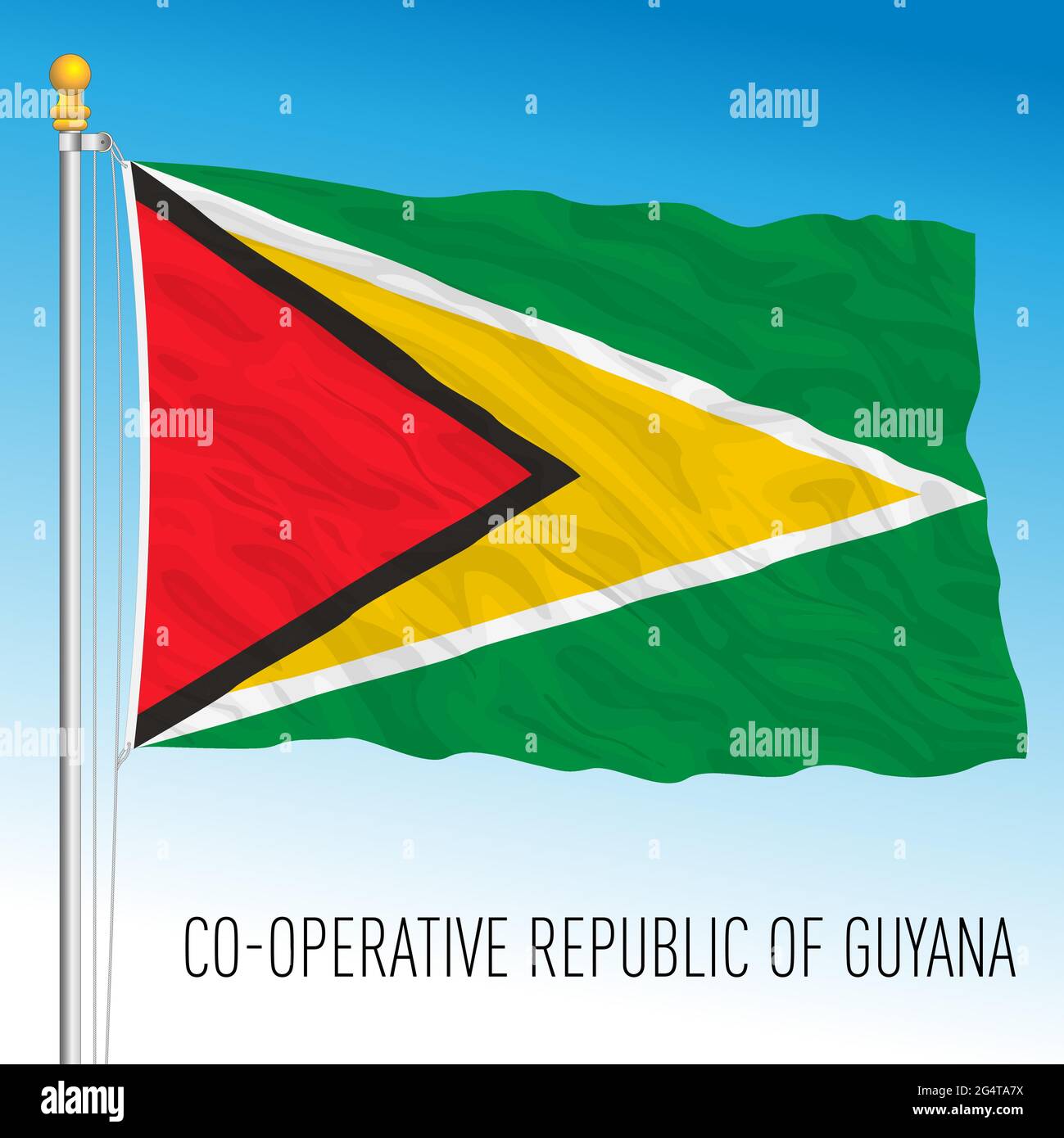Guyana official national flag, south american country, vector illustration Stock Vector Image ...