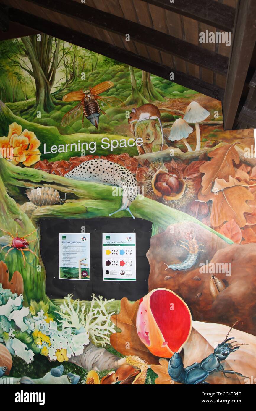 Educational Box Hill Learning Space sign with at top of National Trust ...