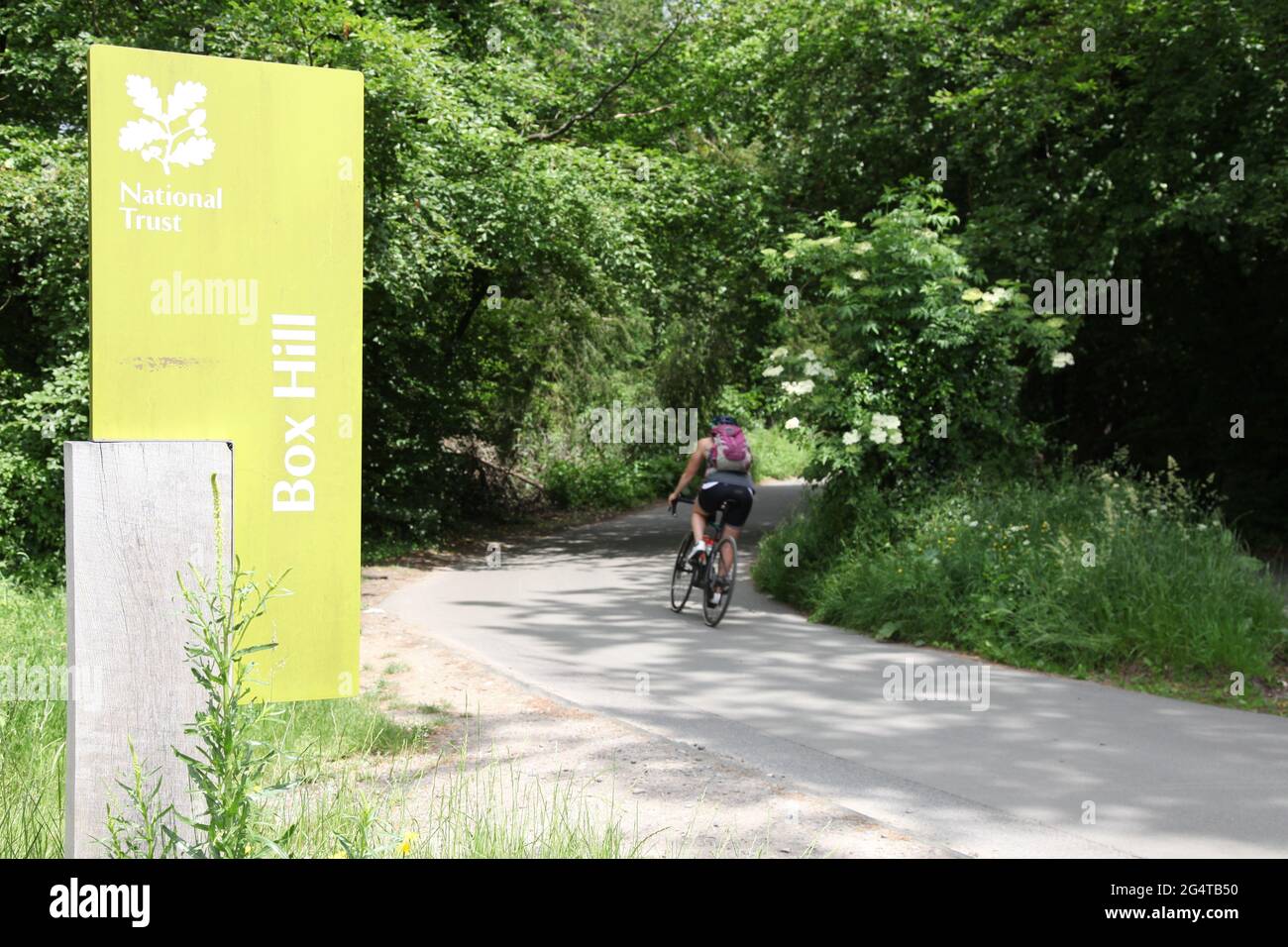 Box Hill sign with cyclists cycling at top of National Trust site ...