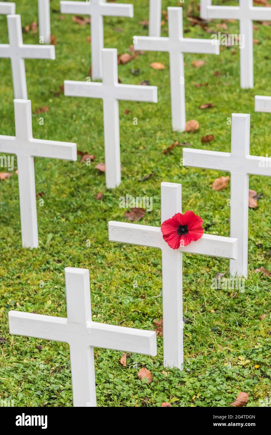 Rows of wooden crosses with inscribed names in memorial of men who died ...