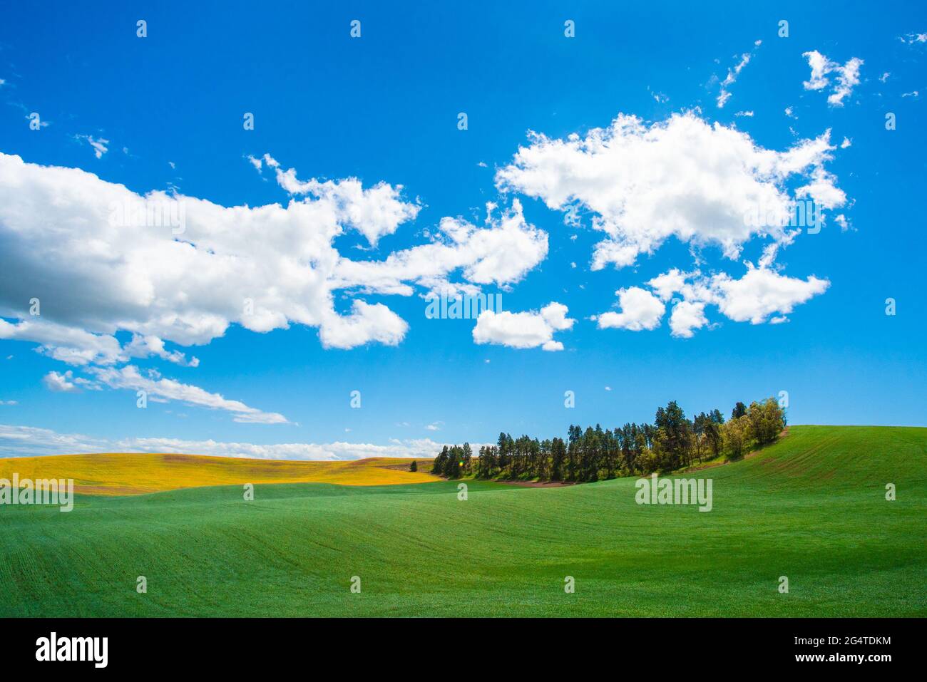Idyllic rural landscape with farm wheat fields and blue sky seen from ...