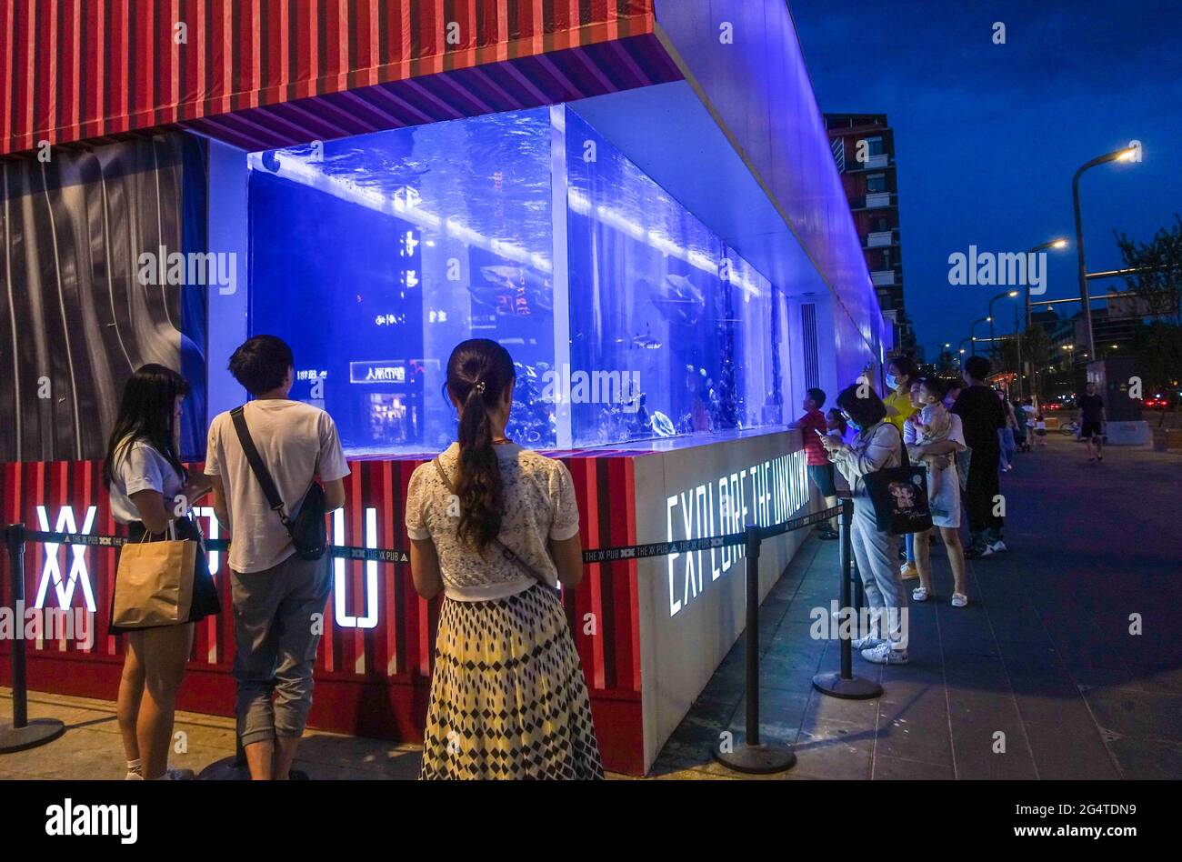 CHENGDU, CHINA - JUNE 22, 2021 - An L-shaped fish tank with sharks on ...