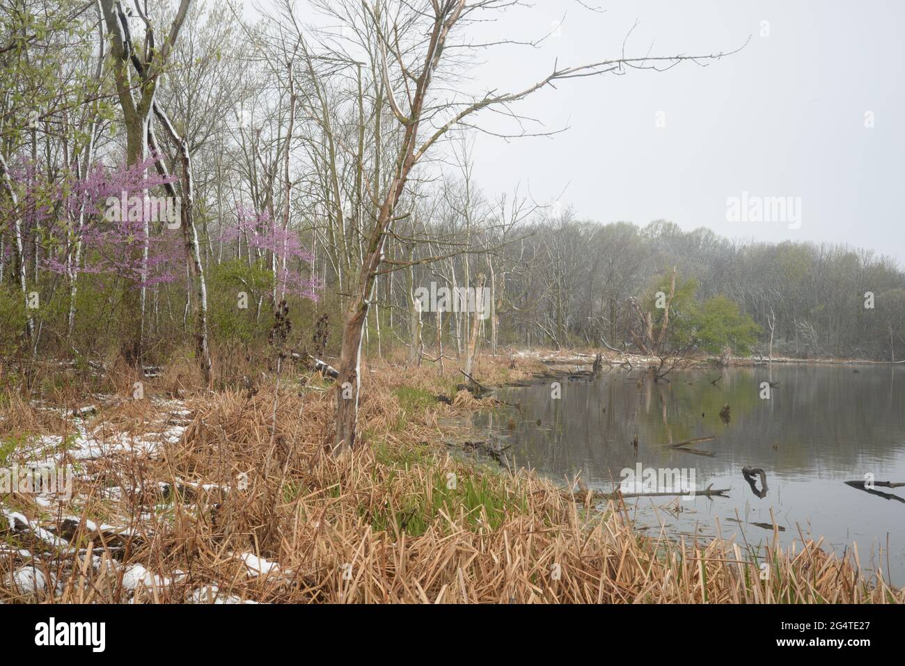 Indiana swamp hi-res stock photography and images - Alamy