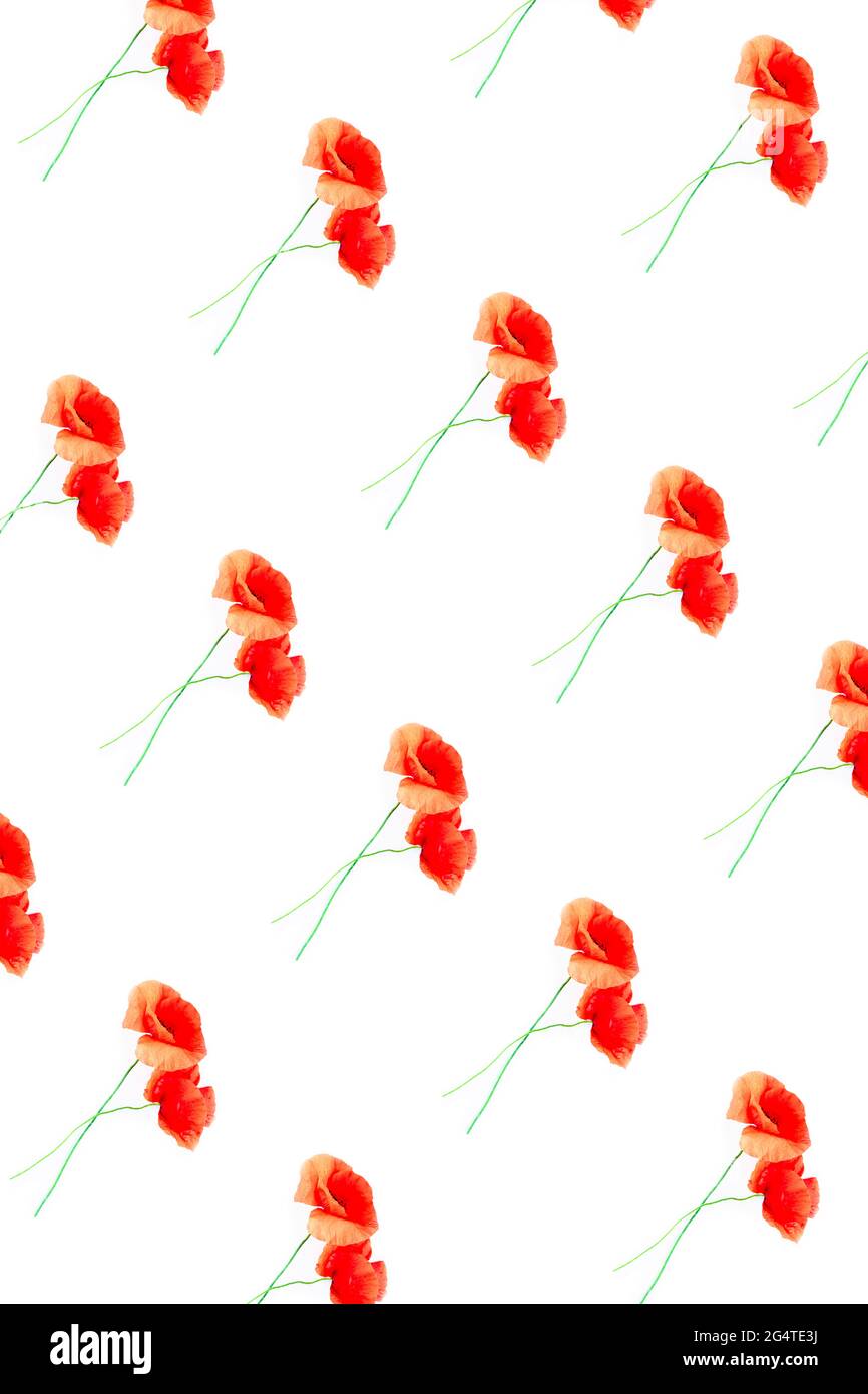 Red poppy floral pattern hi-res stock photography and images - Alamy