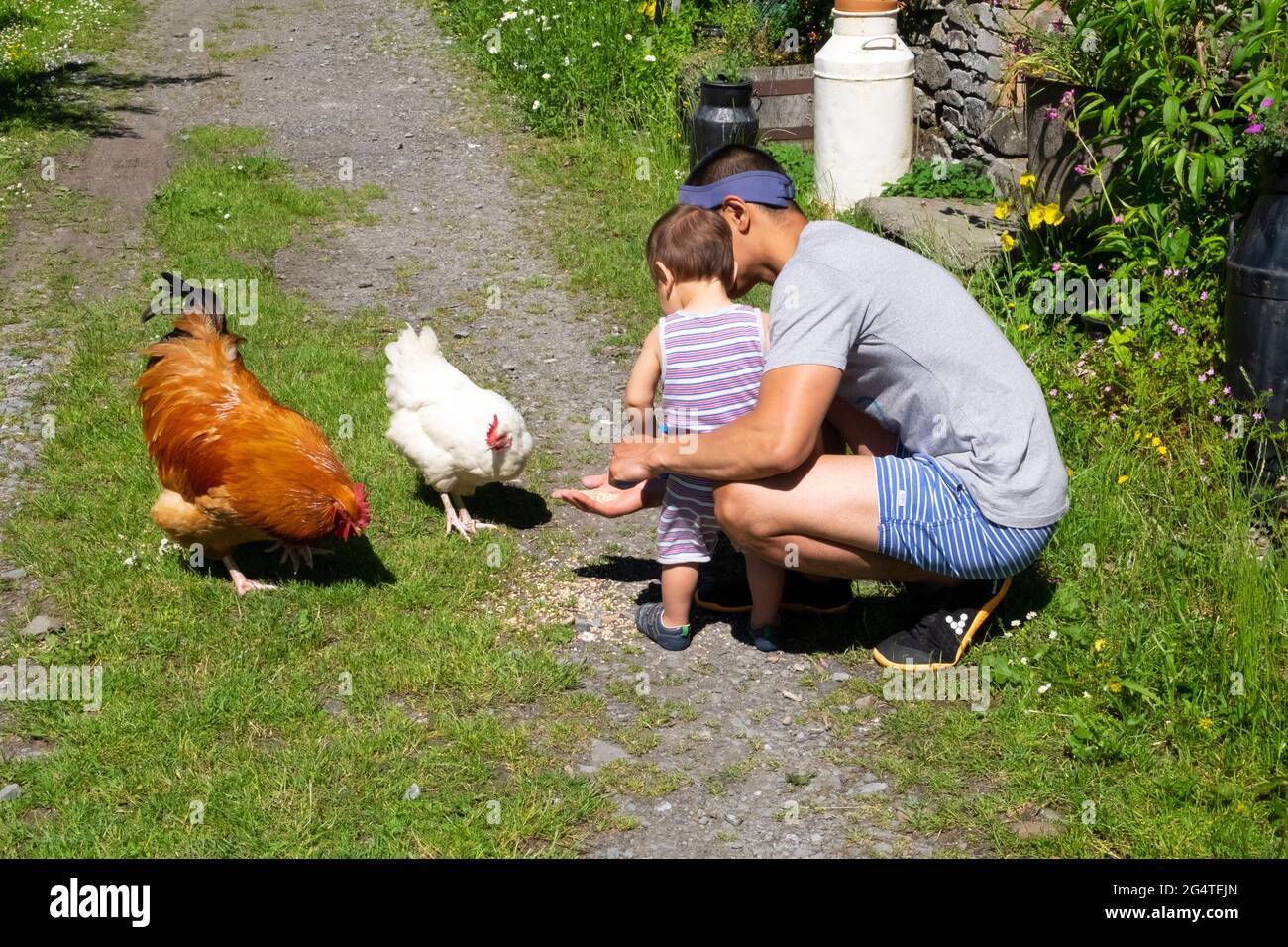 Father kneeling with toddler rear view parent helping showing child ...