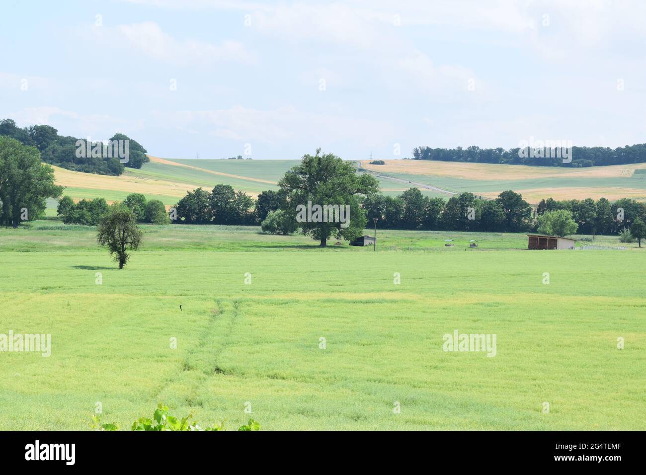 Thurer wiesen hi-res stock photography and images - Alamy