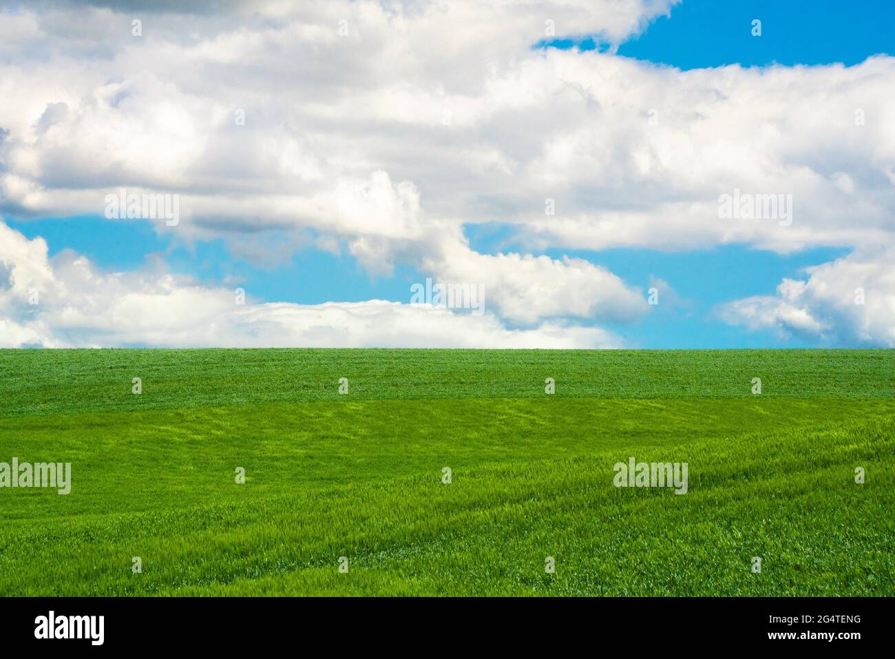 Idyllic rural landscape with farm wheat fields and blue sky seen from ...